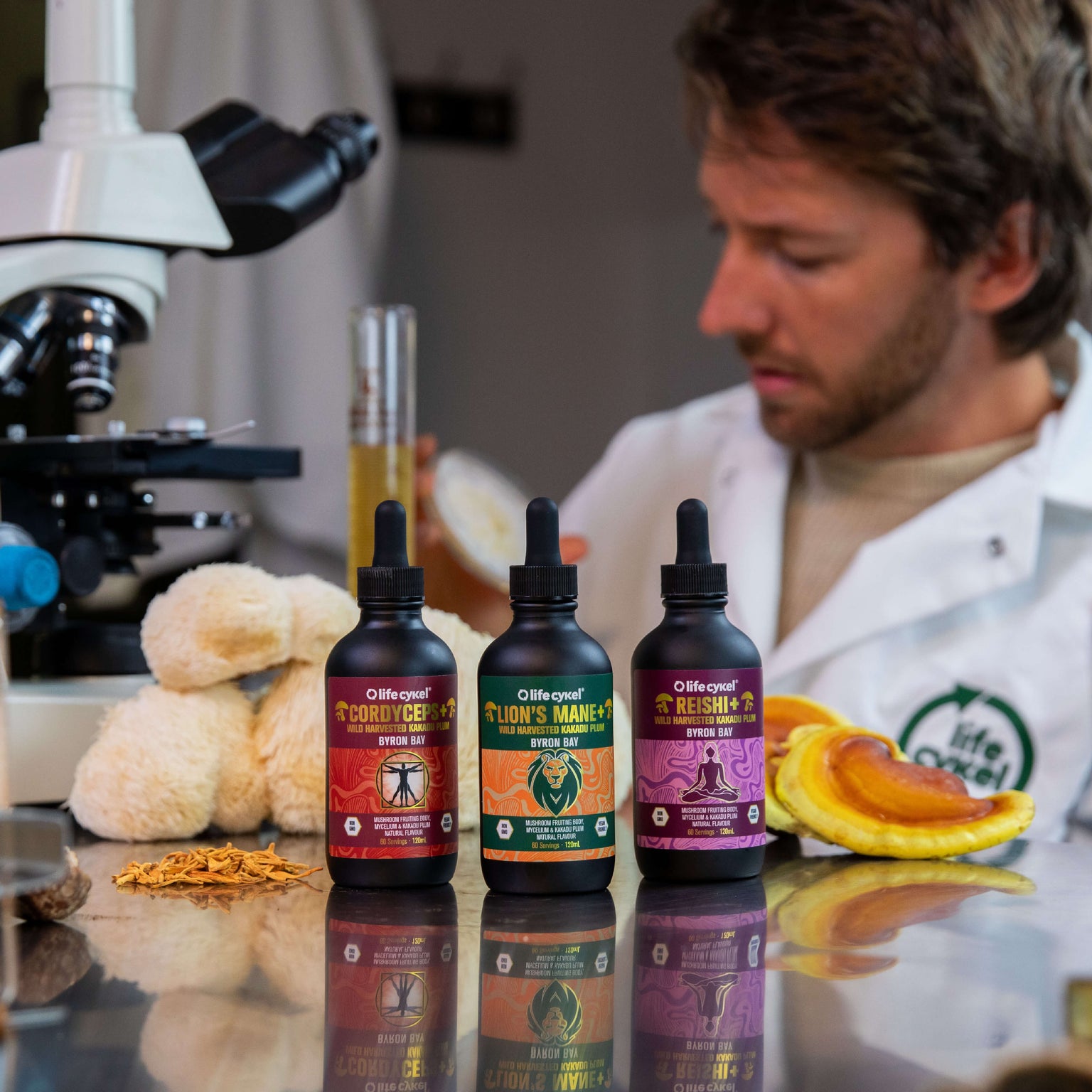 Premium Mushroom Extracts for Quality Wellness Solutions — Life Cykel