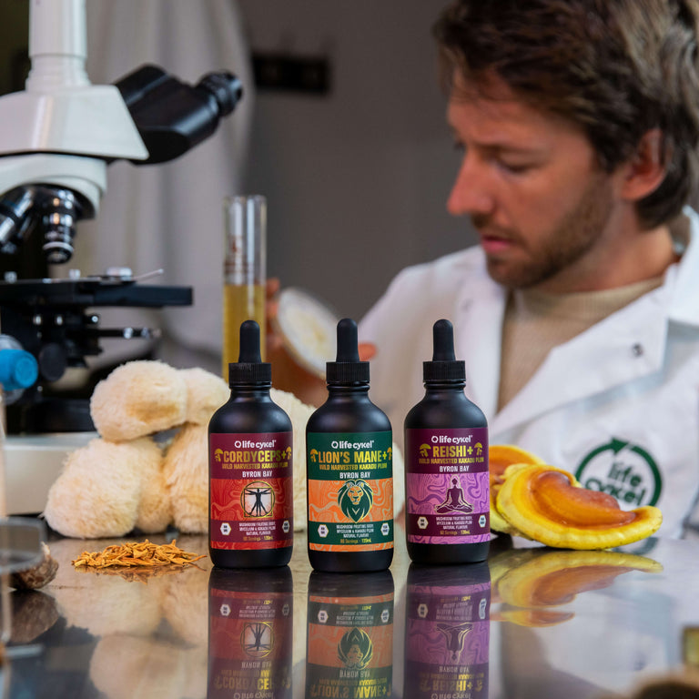 Premium Mushroom Extracts for Quality Wellness Solutions — Life Cykel