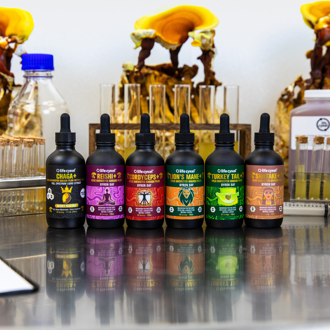 Best Mushroom Liquid Extract Flavourings in Australia — Life Cykel