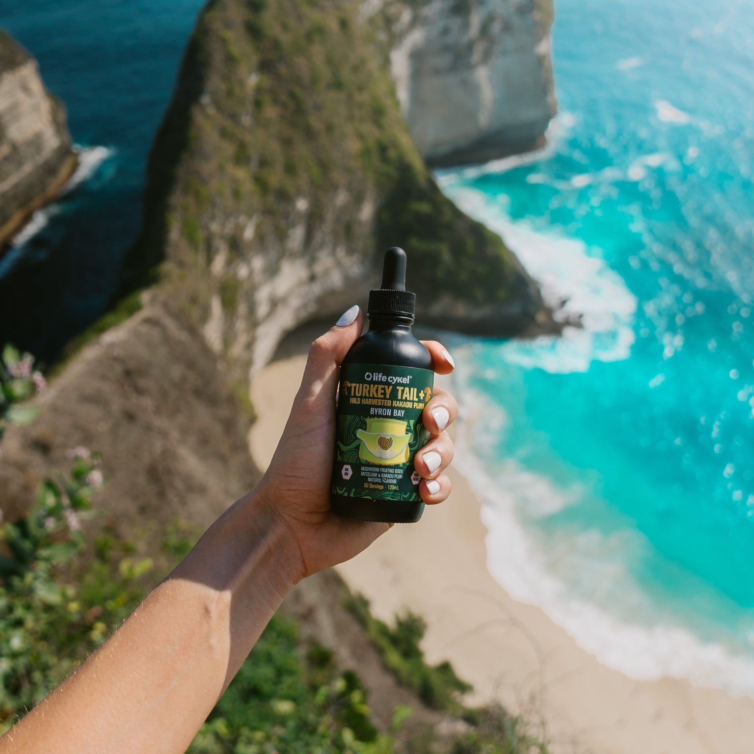 Premium Mushroom Extracts for Quality Wellness Solutions — Life Cykel