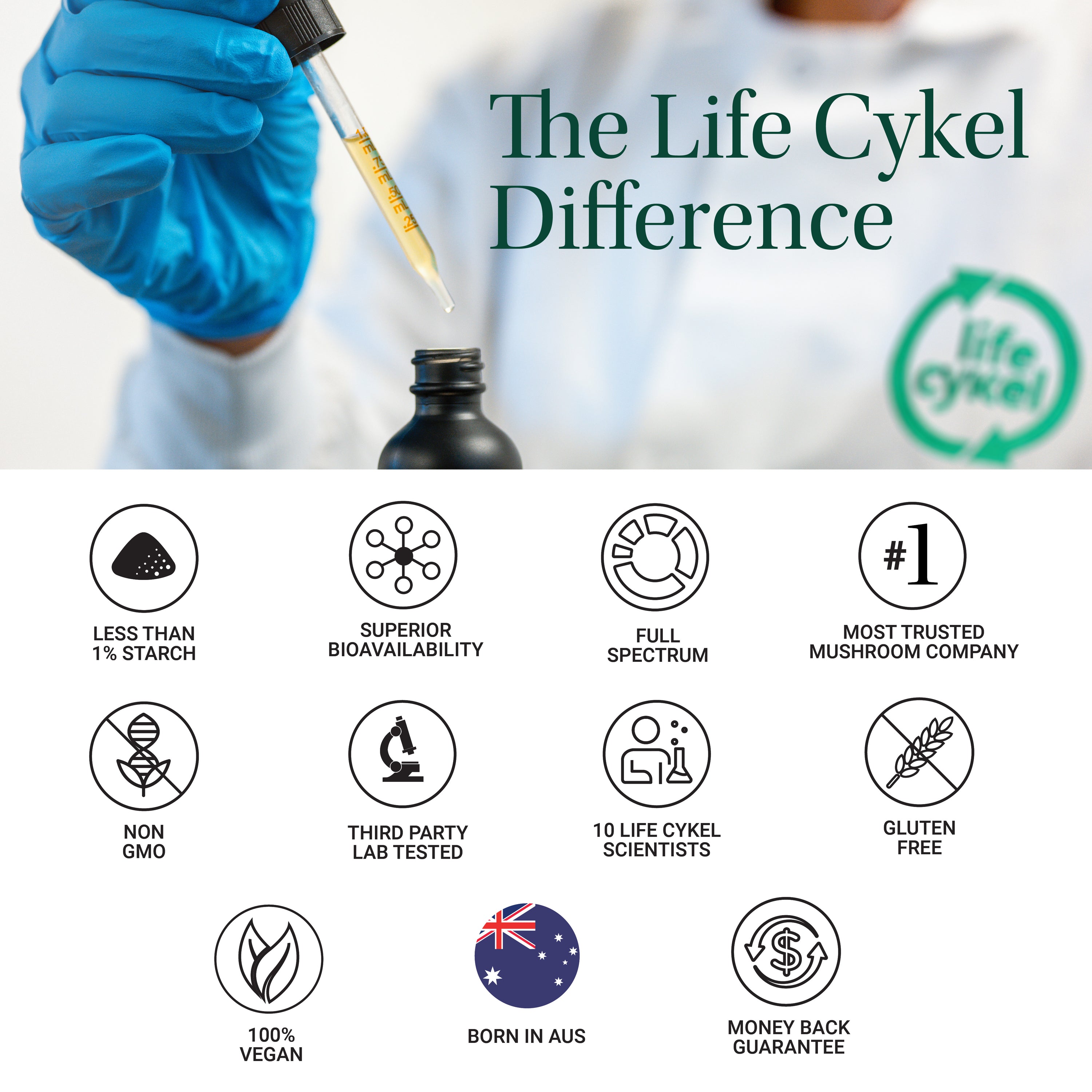 Reishi Mushroom Extract Flavouring — Life Cykel