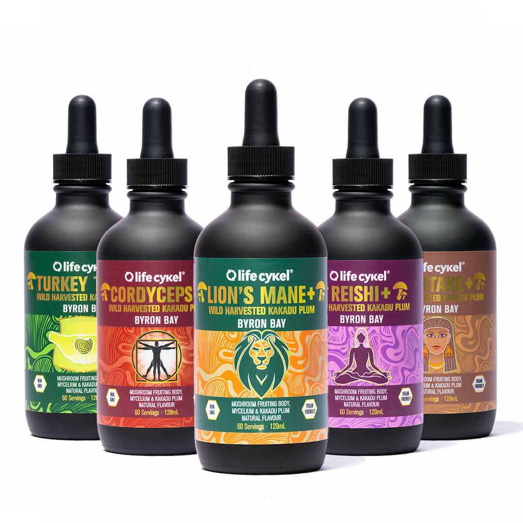 High-Quality Mushroom Extracts for Daily Wellness — Life Cykel