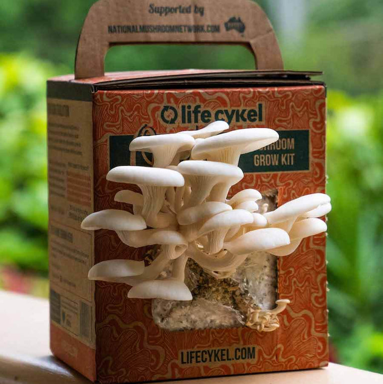 Life Cykel Mushroom Extract Products | Grow Kits | Mouth Mist