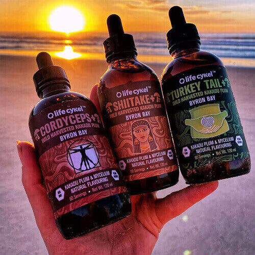 Life Cykel | Mushrooms are our future | Functional Mushroom Products