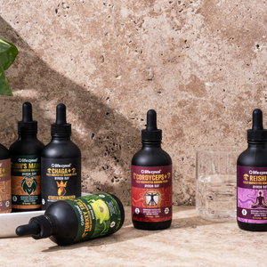 Ultimate Mushroom Supplement Pack for Wellness Boost — Life Cykel