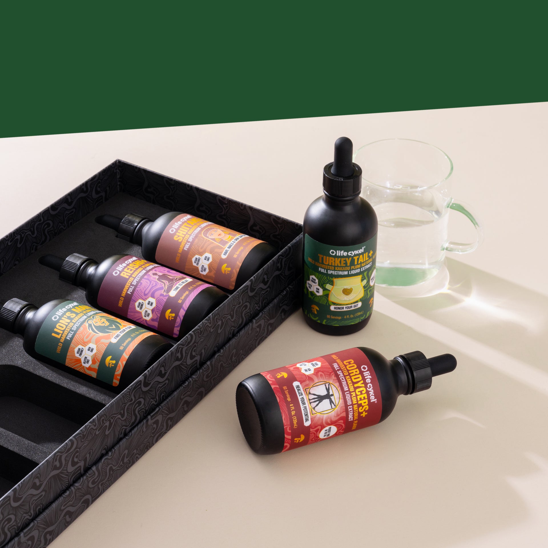 Premium Mushroom Extracts for Enhanced Daily Wellness – Lifecykel