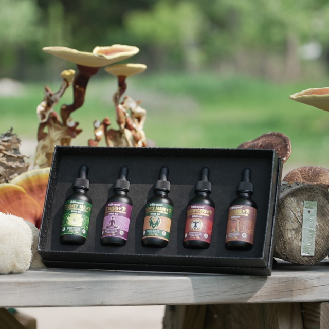 Boost Your Garden with Our Pollination Kit – Life Cykel