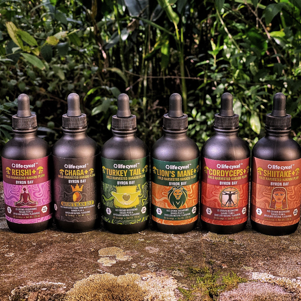 Life Cykel Mushroom Extract Products | Grow Kits | Mouth Mist